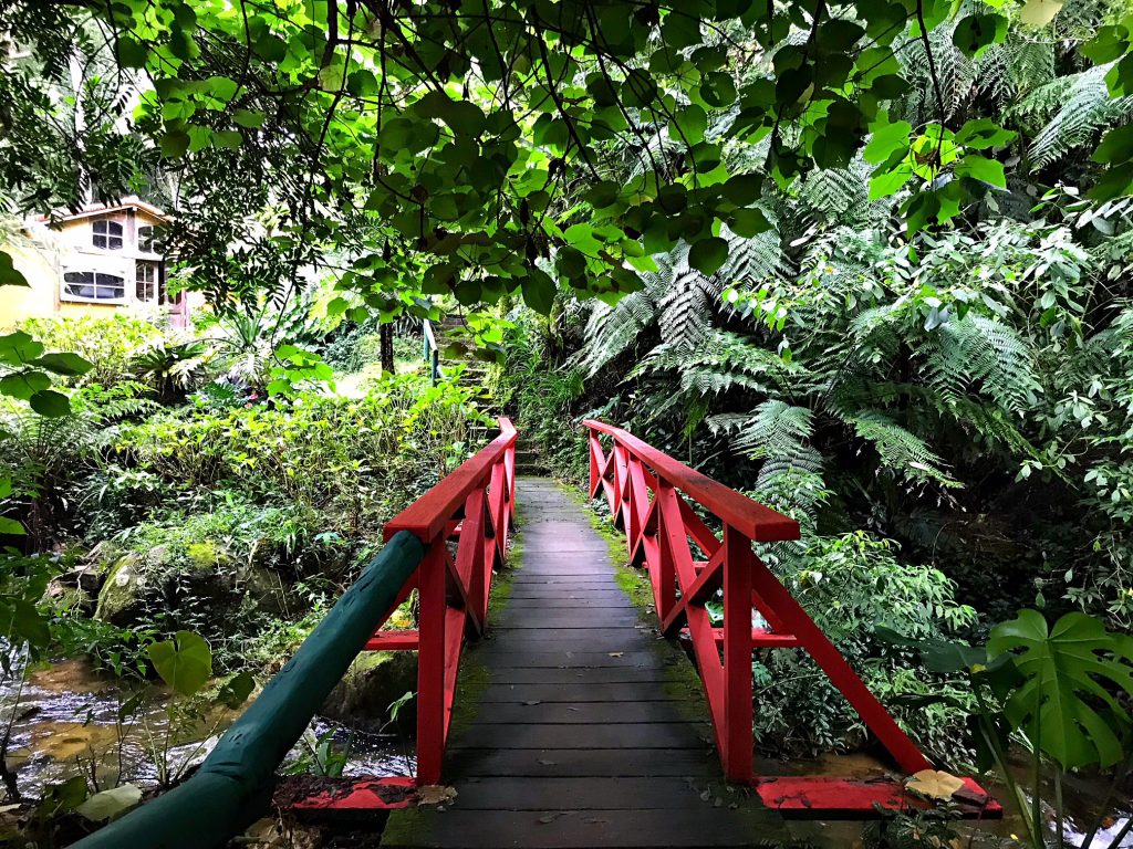 Um dia no Rocio: o que fazer, onde comer e onde se hospedar no local ...