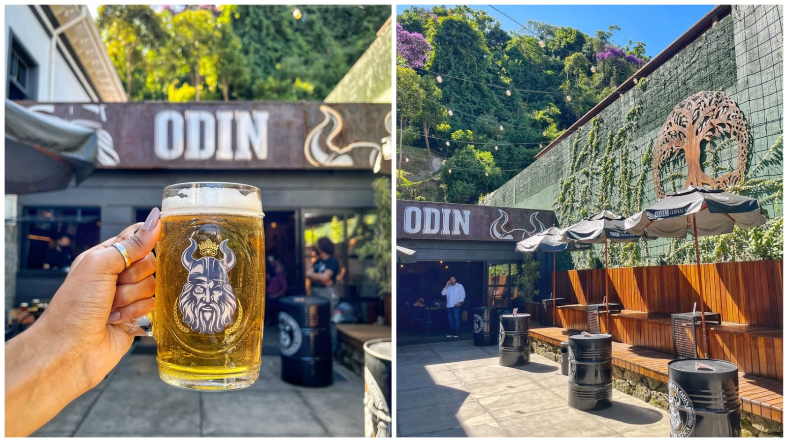 odin_foto: Sou Petrópolis - Sou Petrópolis