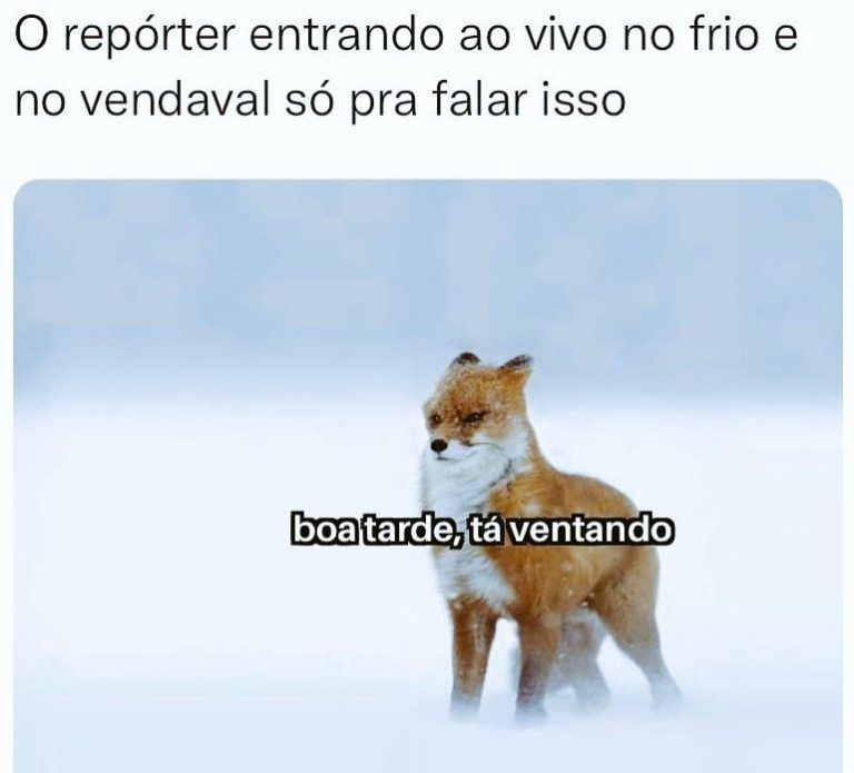 Onda de frio: 13 memes que retratam o dia dia dos petropolitanos - Sou ...