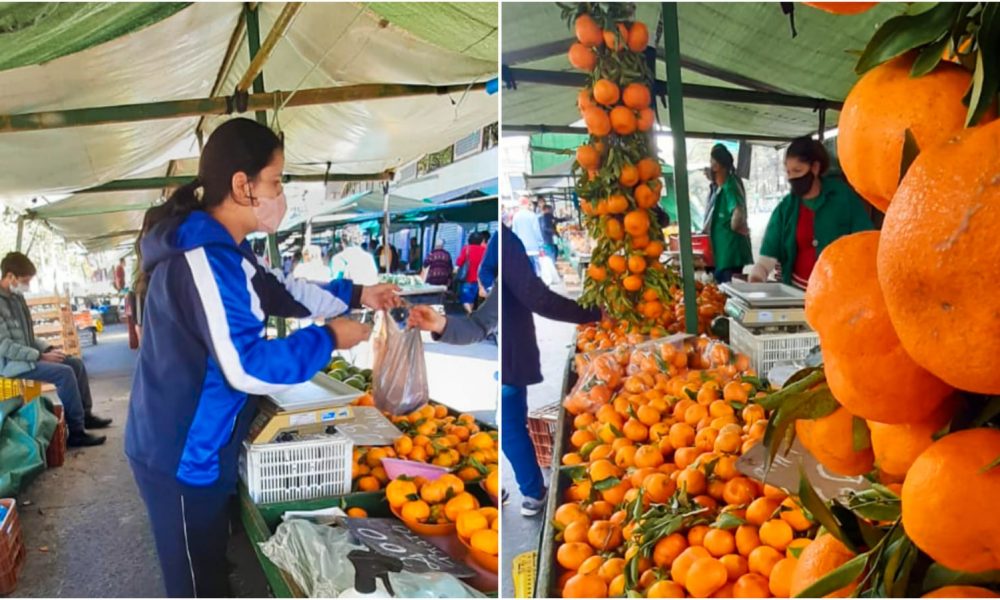 Dia do Feirante: conheça mais sobre a feira livre do Centro e o ...