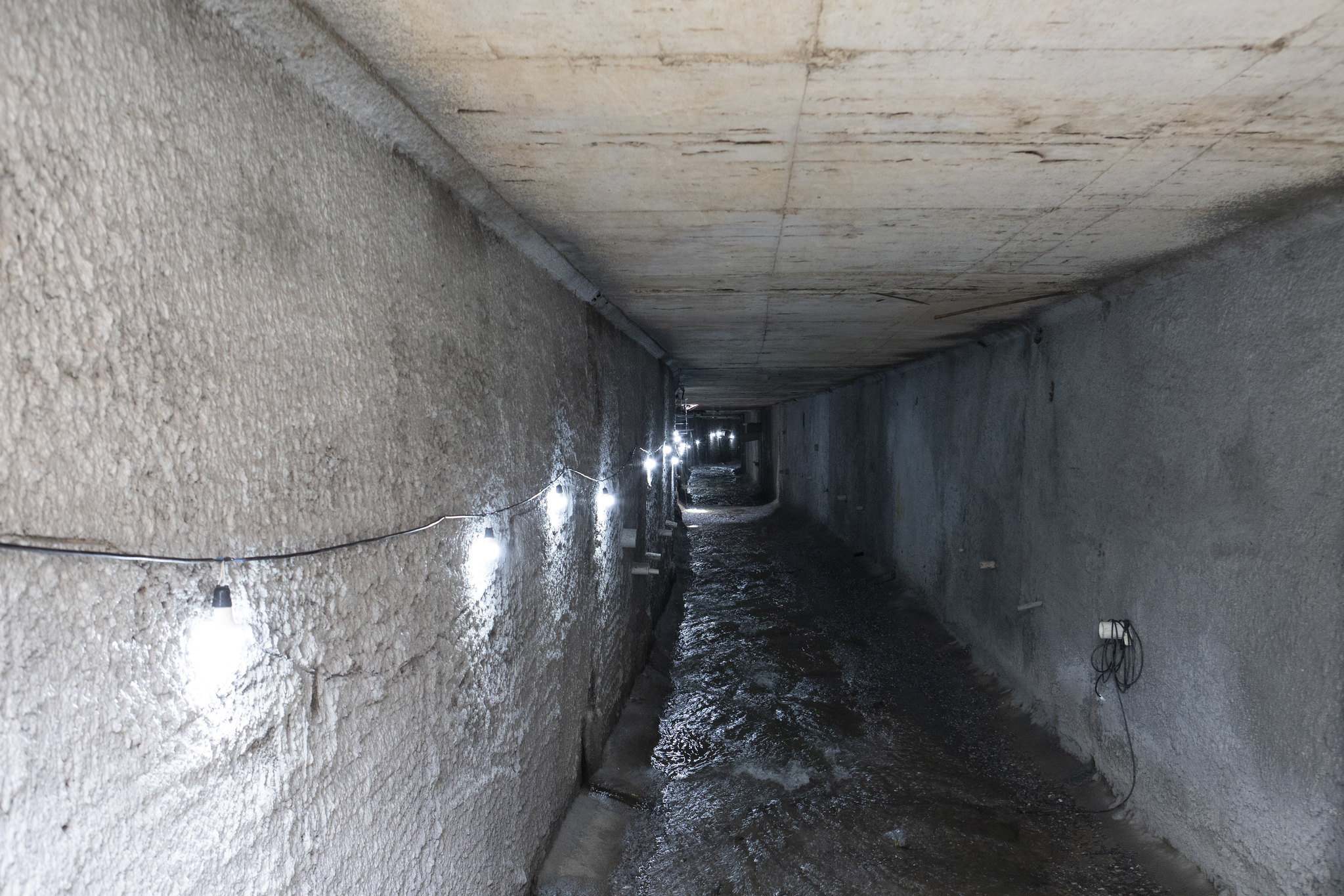 52679477385_6cda3906fc_k - Sou Petrópolis