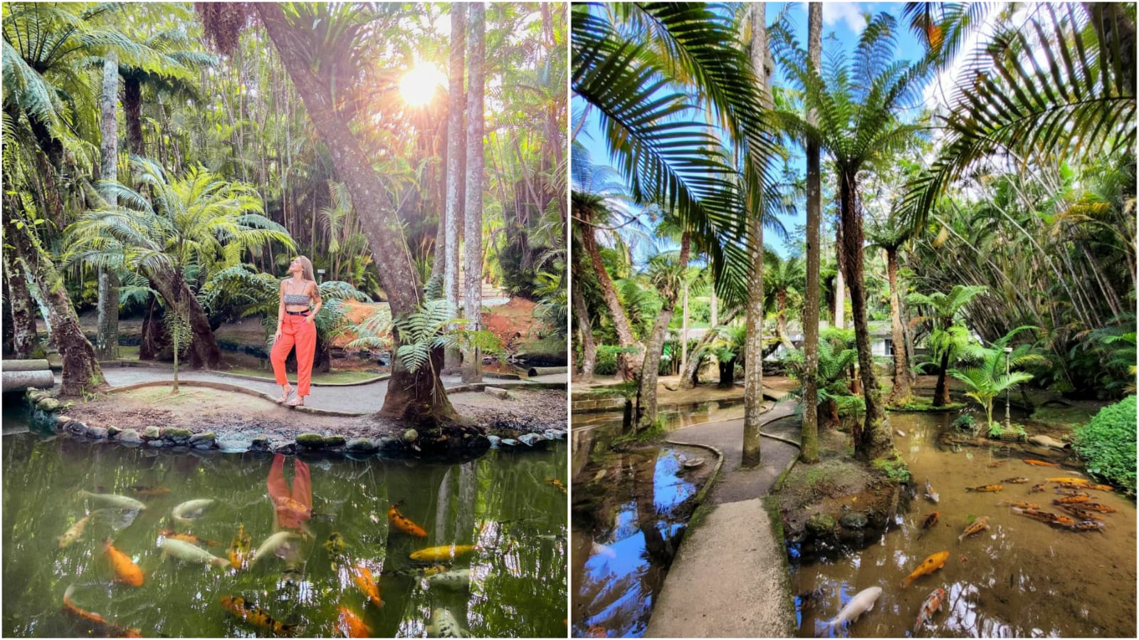 Um dia no Orquidário Binot: 5 atividades para fazer no local, que é ...